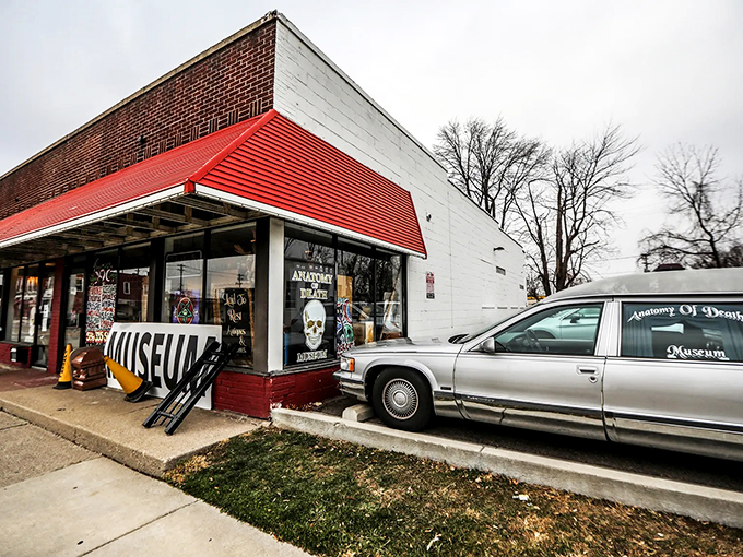 Red awning, white hearse: The Anatomy of Death Museum's curb appeal is to die for, literally. Photo credit: Detroit Free Press