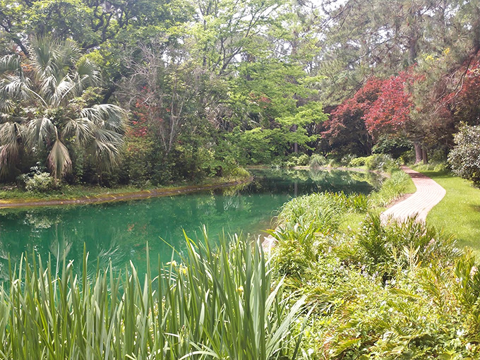 Nature's own infinity pool! This serene spot's perfect for contemplating life or practicing your best 