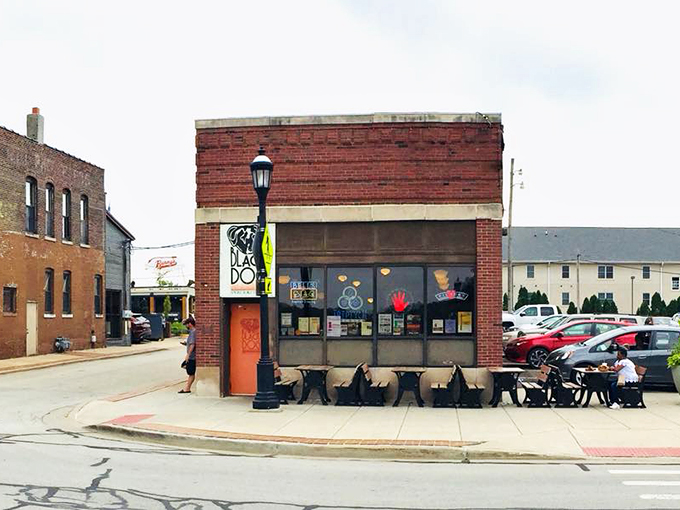 Woof for the win! Black Dog's sassy canine logo promises a tail-wagging good time for meat lovers.