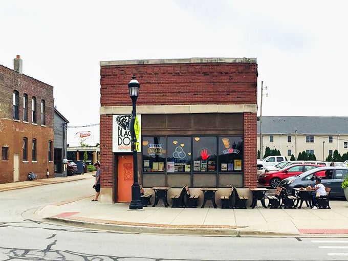 Woof for the win! Black Dog's sassy canine logo promises a tail-wagging good time for meat lovers.
