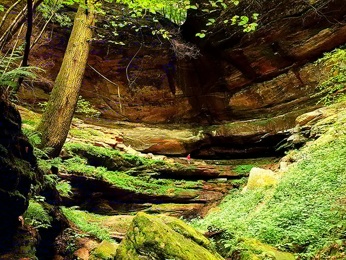 Rock climbing for the acrophobic: Cantwell Cliffs offers adventure without the need for harnesses. Just don't look down!