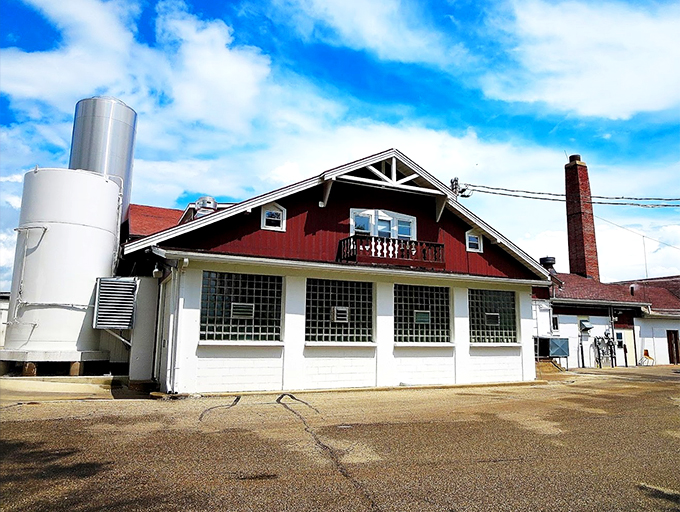 Swiss miss? Nope, pure Wisconsin! This charming co-op brings Alpine vibes to America's Dairyland. Time to yodel for Gouda!