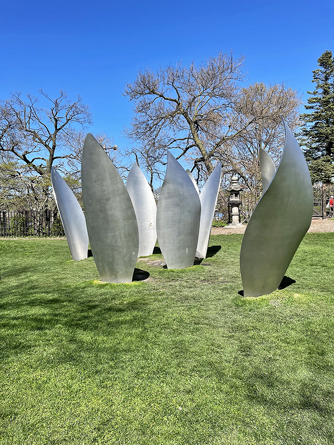Behold, the Stonehenge of the plant world! These leafy monoliths are nature's way of showing off. Photo credit: Swapnil Ghodake