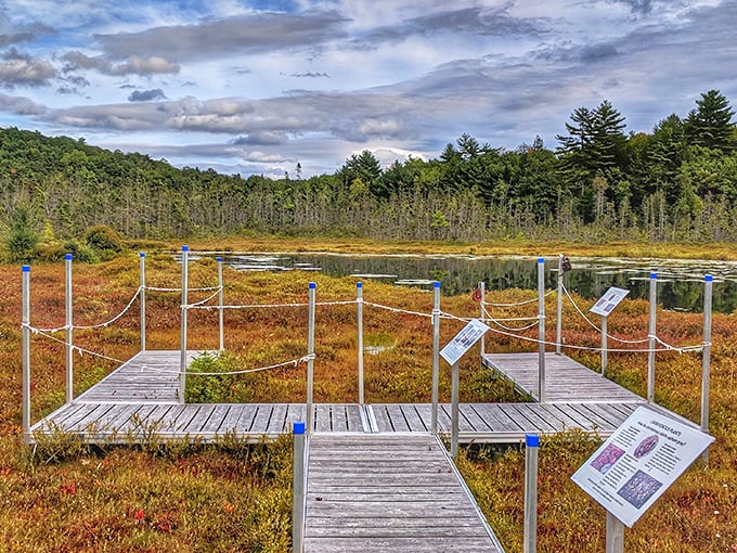 Hidden Valley Nature Center: No ranch dressing springs, but plenty of natural flavor! Hike, bike, or ski your way through this off-grid wonderland.