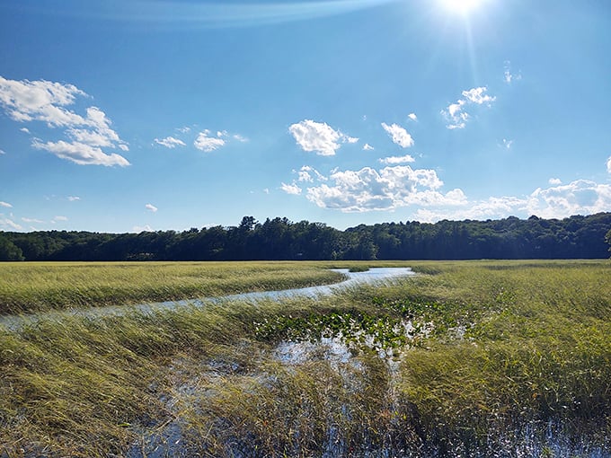 Merrymeeting Bay: Where six rivers throw a party. It's like a liquid cul-de-sac, but with better views and fewer nosy neighbors.