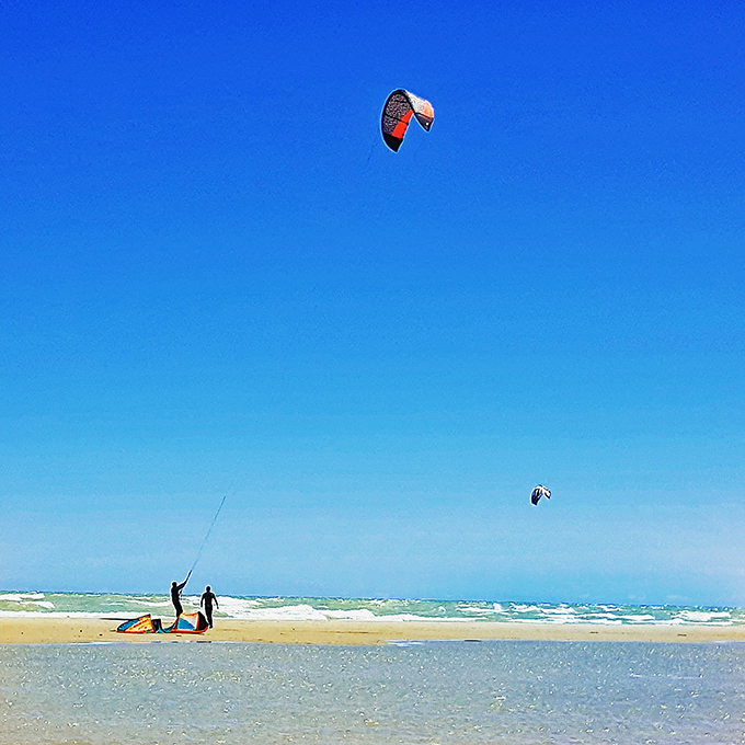 Nature's playground where dogs, birds, and humans coexist in sandy harmony. It's like Noah's Ark, but with better Wi-Fi and fewer pairs. 