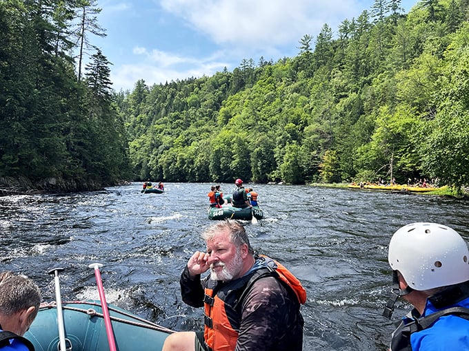 Green foliage and peaceful paddling &ndash; it's like nature decided to throw a party and invited these lucky paddlers.