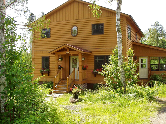Nature's five-star hotel! This rustic retreat is where the wilderness meets comfort, and every room comes with a forest view.