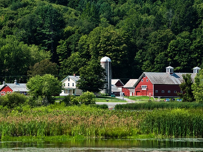 Noah's Ark meets petting zoo. No flood required for this animal adventure!