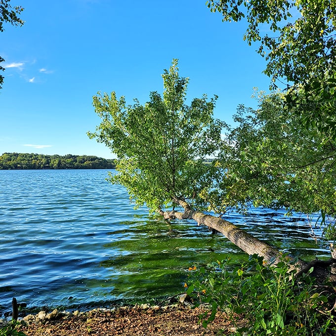 Sakatah's crystal-clear waters are so inviting, even the fish can't resist showing off their underwater acrobatics. Photo credit: Bobby Hissam