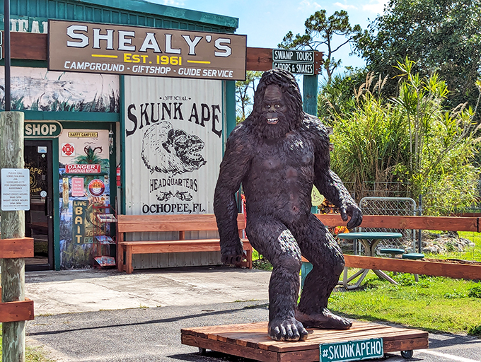 Bigfoot's smelly cousin has a Florida address. This quirky headquarters is where cryptozoology meets Everglades chic.