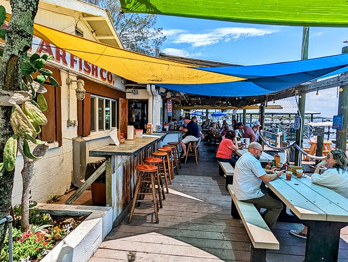 Star Fish Company: Where the fish practically jumps onto your plate. Cortez's best-kept secret is out of the bag!