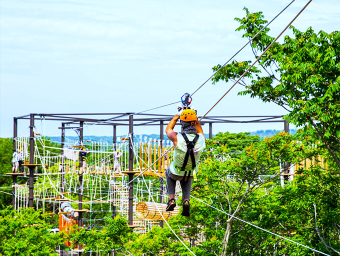 Indiana Jones meets American Ninja Warrior in this aerial playground. It's like your childhood treehouse grew up and got an extreme makeover!