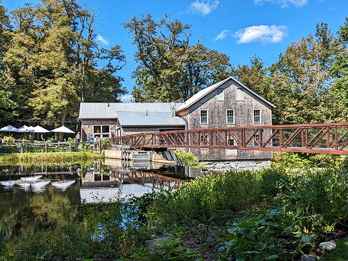 The Lost Kitchen: Maine's culinary Brigadoon. This Freedom gem appears once a year (for reservations) and disappears into legend.