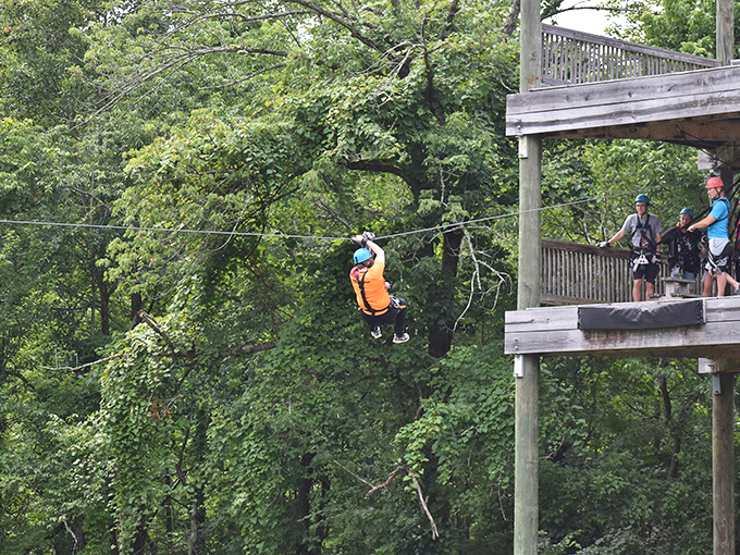 Look, Ma, no wings! Soaring through the trees like a caffeinated squirrel has never been so exhilarating.