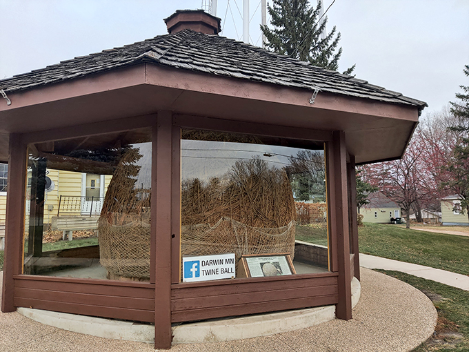 String theory, Darwin style! This mammoth ball of twine is proof that sometimes, the simplest ideas snowball into something extraordinary.