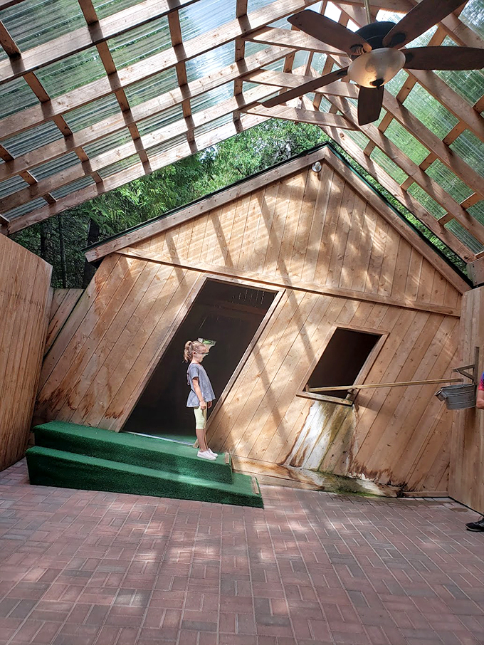 "Is it science? Magic? Or just clever construction? At The Mystery Spot, the only thing certain is your confusion!" Photo credit: Andrea DeBusschere