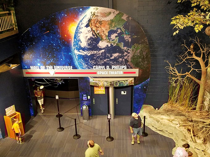 Stars in your eyes? The Boonshoft's planetarium will have you seeing the universe in a whole new light.