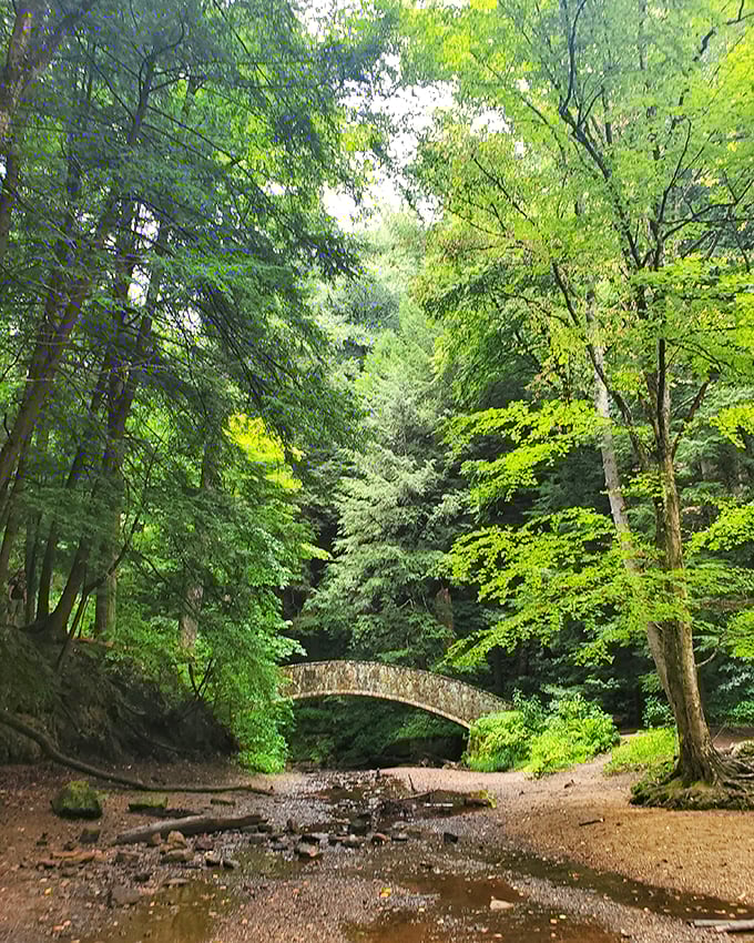 Nature's funhouse: Cantwell Cliffs' twisting passages and towering rocks make you feel like Alice in Wonderland. Bring your sense of adventure!