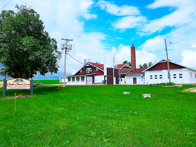 Cheese with a view! This picturesque co-op proves great flavors and stunning scenery make the perfect pairing.