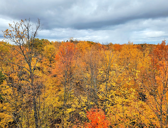 Mother Nature's own watercolor masterpiece: Russet waters tumble over weathered rocks in a scene straight out of a fantasy novel.