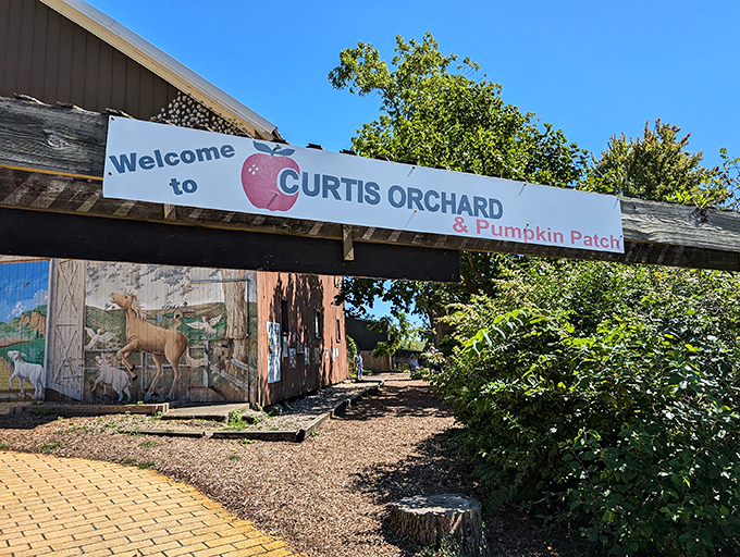 Caution: Entering a zone of pure, unadulterated fall joy. Side effects may include uncontrollable grinning and pumpkin spice cravings. Photo credit: shashank bajpai