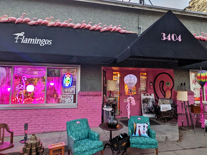 Who needs a time machine when you've got Flamingo's? Step in and let the vintage vibes wash over you like a technicolor wave.