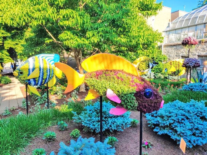 Victorian glass meets modern art in this botanical wonderland. Even the butterflies are impressed!