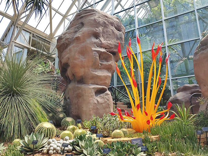 Butterfly ballet meets glass menagerie. Channel your inner Disney princess as you explore this greenhouse of wonders.