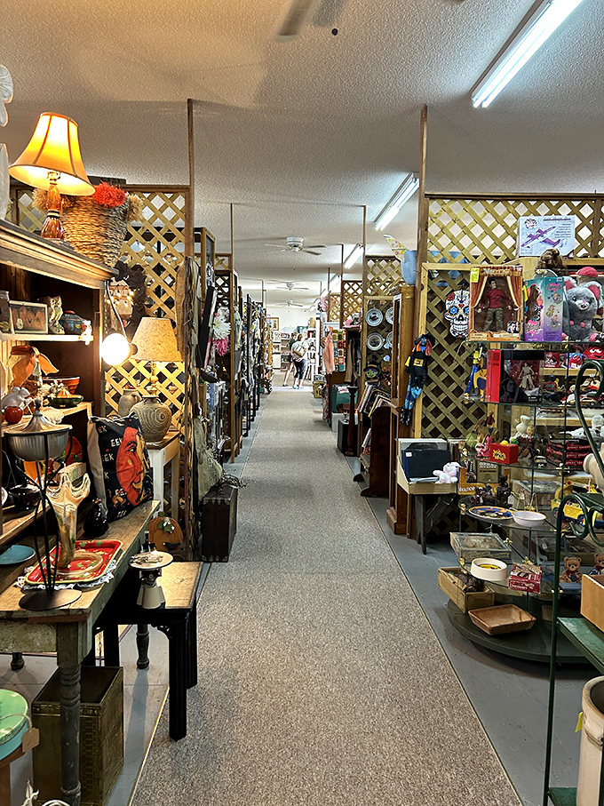 Welcome to the ultimate game of "I Spy"! Galena Antique Mall's interior is a nostalgic playground where every turn reveals a new decade.