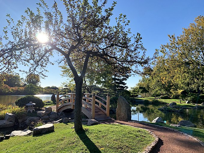 Who says you can't teach an old park new tricks? This sculpture garden is where art meets photosynthesis. Photo credit: PAKEAO Arevalo Alonso