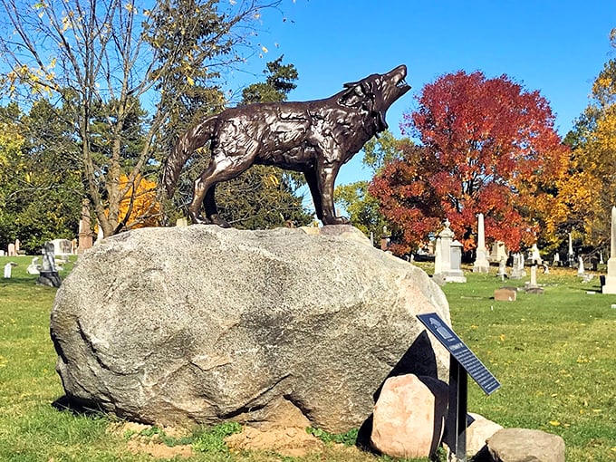 Who let the dogs out? This bronze wolf is howling at the moon… or maybe just excited about the fall foliage.