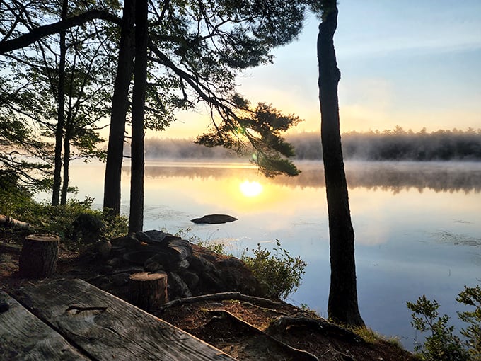 Rustic glamping at its finest! Hidden Valley's backcountry huts offer a five-billion-star experience. Warning: Bears don't honor "Do Not Disturb" signs.