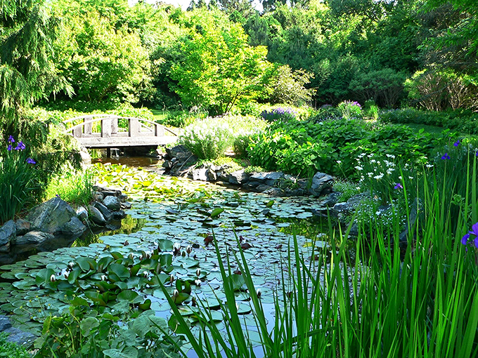 Who needs a wishing well when you've got Klehm's fountain? Toss a coin, or just soak in the serenity.