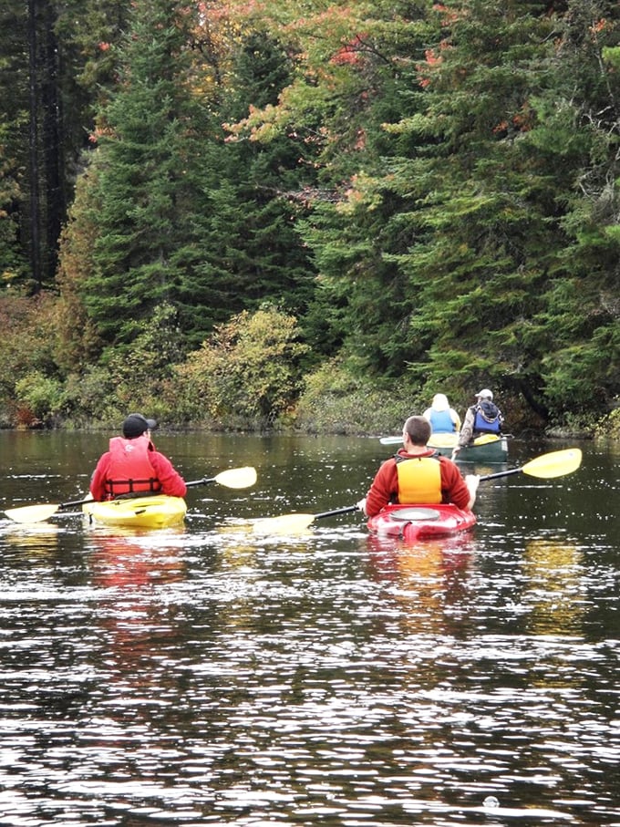 Who needs a gym when you can sculpt those arms while soaking in views that'd make a postcard jealous?