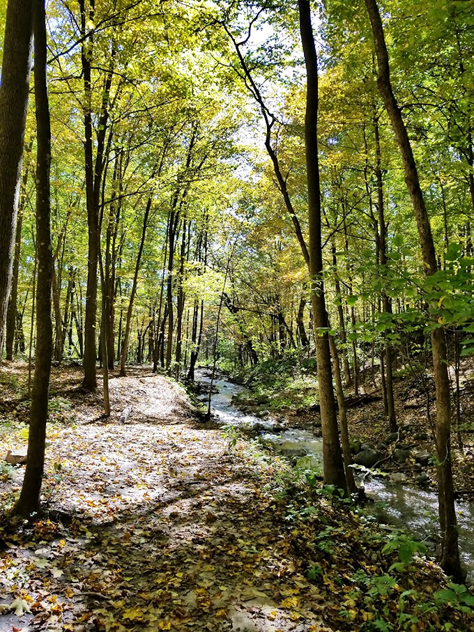 Mother Nature's own waterpark. No lines, no tickets, just pure, unadulterated splashy fun.Swimsuit optional, sense of wonder mandatory.