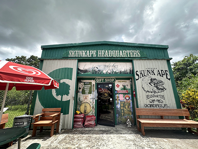 Part gift shop, part monster hunt HQ. It's like X-Files meets Florida swamp &ndash; with souvenirs!