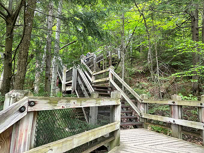 Tahquamenon Falls' sturdy wooden stairs wind through a dense forest of tall trees, providing hikers with a scenic path up the wooded hillside.