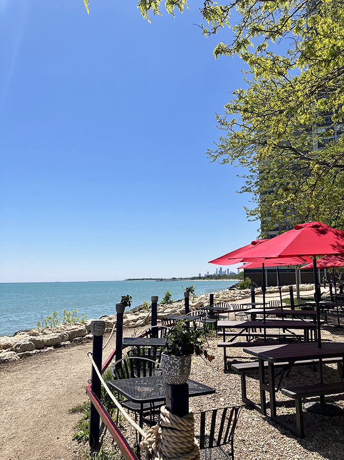 Sand, surf, and sensational bites! This hidden gem proves you don't need to leave the city for a slice of paradise. Photo credit: Kevin