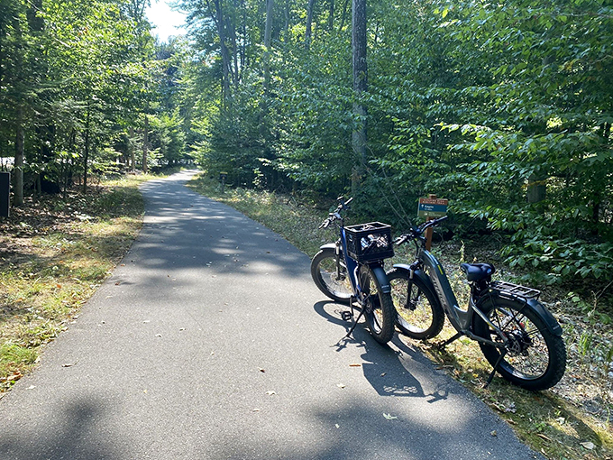 Two-wheeled wanderlust! This path invites cyclists to pedal their way through a forest that's greener than Kermit the Frog.