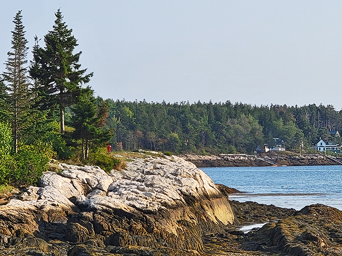 Rocky shores and pine-topped cliffs: Maine's version of a red carpet. And trust me, it's a lot more comfortable than stilettos on Hollywood Boulevard.