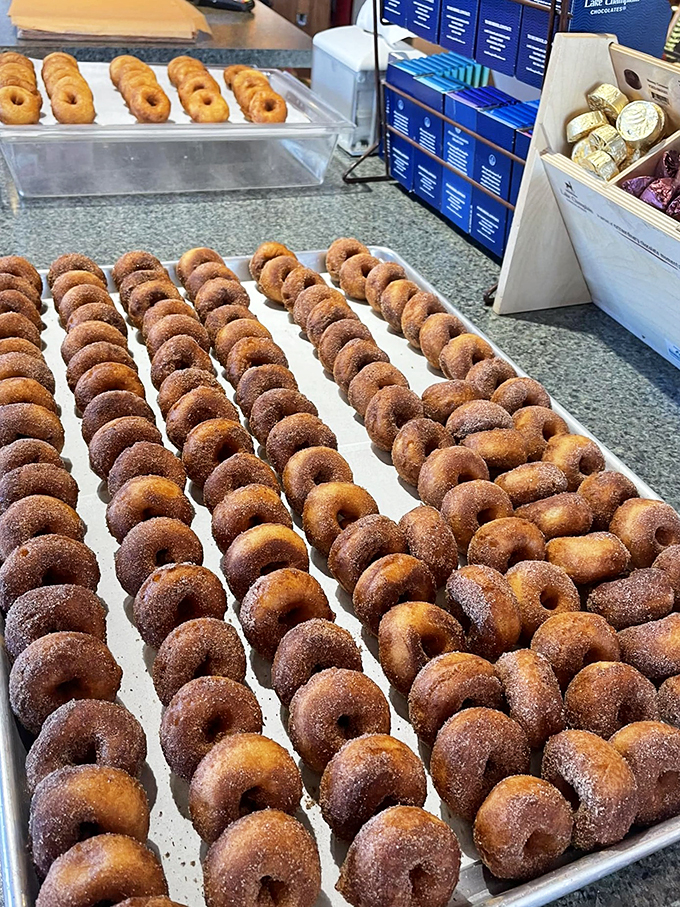 Fresh out of the fryer, these golden rings of joy are hotter than a Vermont summer day.