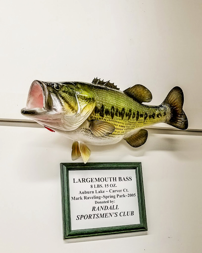 Meet the rock star of the freshwater world! This largemouth bass is ready for its close-up and a spot in the angler's hall of fame.