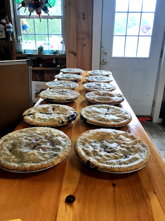A slice of heaven on a checkered tablecloth. This blueberry pie is so good, it might make you forget about lobster... almost.