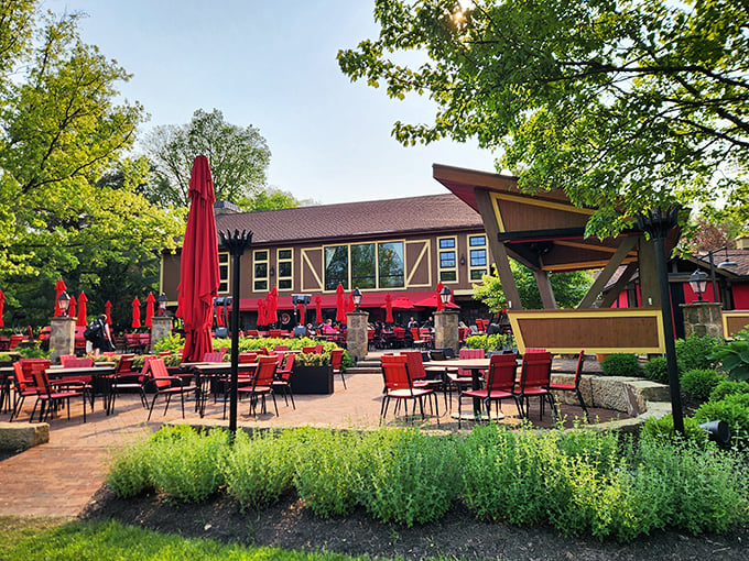 Al fresco dining with a side of sunshine. These vibrant red umbrellas are like nature's "You Are Here" pins in a sea of green.