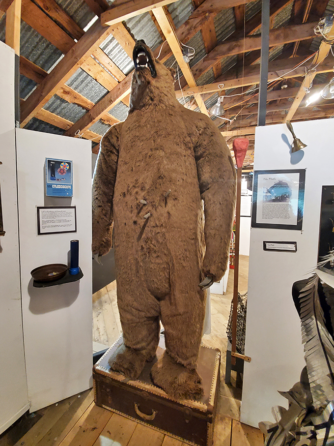 Is it a bear? A yeti? Nope, just your average, run-of-the-mill... whatever that is. Expect the unexpected in this treasure trove.