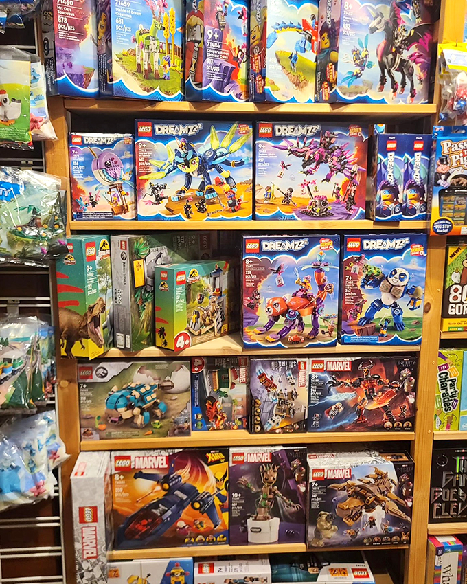 Dreamzzz come true in this LEGO wonderland. From dinosaurs to spaceships, these boxes contain entire universes waiting to be built.