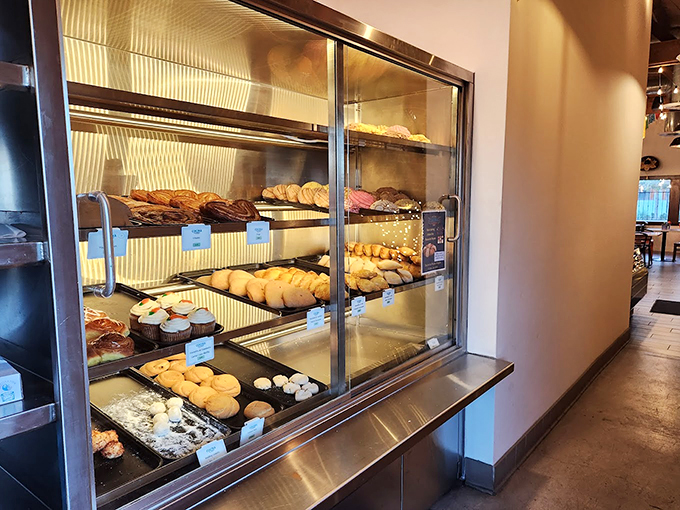 A bakery case that could make angels weep - fresh conchas, pan dulce, and other Mexican pastries lined up like edible artwork.