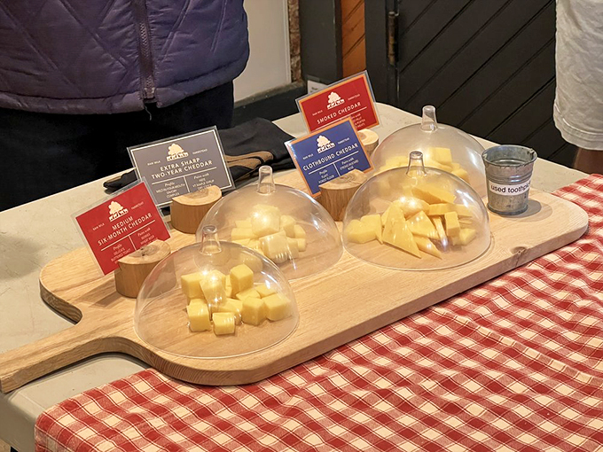 Cheese samples that'll make you weak in the knees! Warning: May cause spontaneous yodeling and uncontrollable cheese puns.