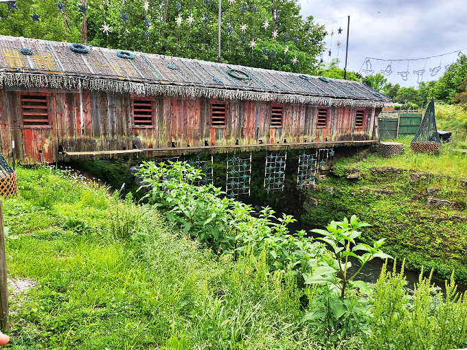 This weathered wooden wonder isn't just bridging a gap&mdash;it's connecting us to a simpler time. No trolls living underneath, we checked!